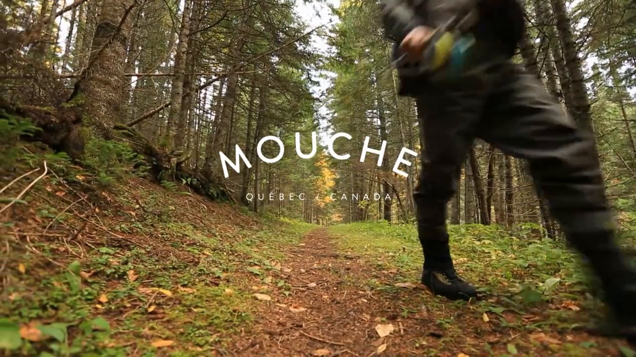Mouche - pêche à la mouche